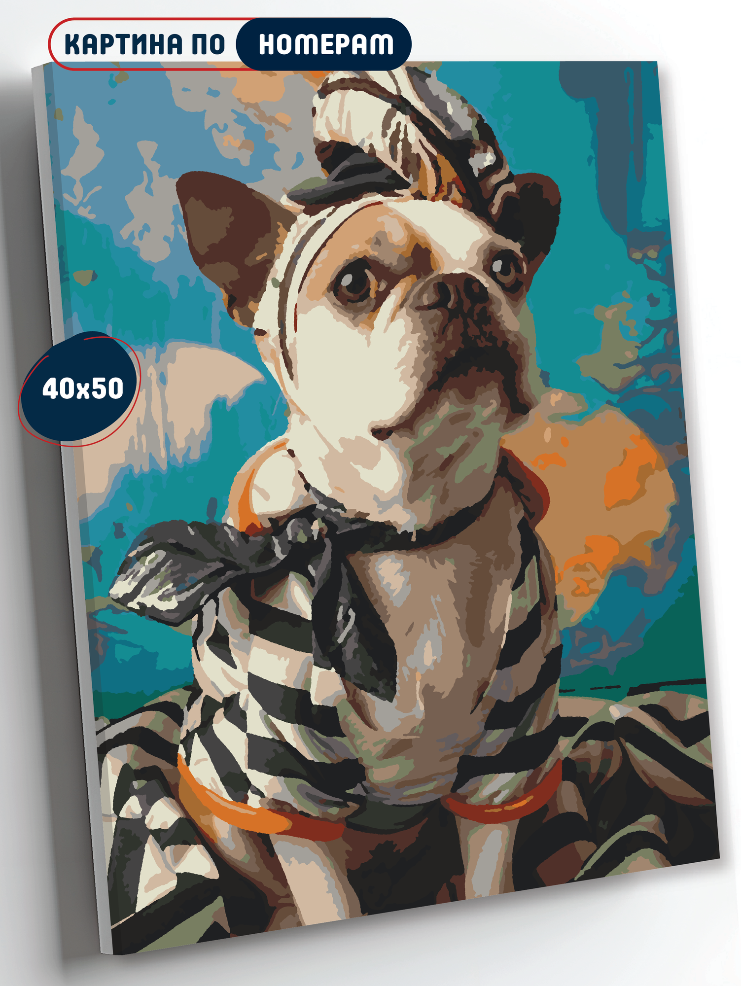 Картина по номерам "Бульдог", Холст на подрамнике 40х50, набор для рисования, с собакой