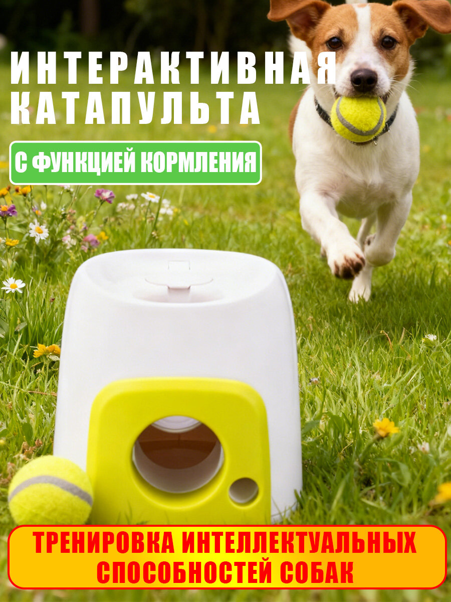 Катапульта мячей для собак интерактивная OZBERRY с 3 мячами