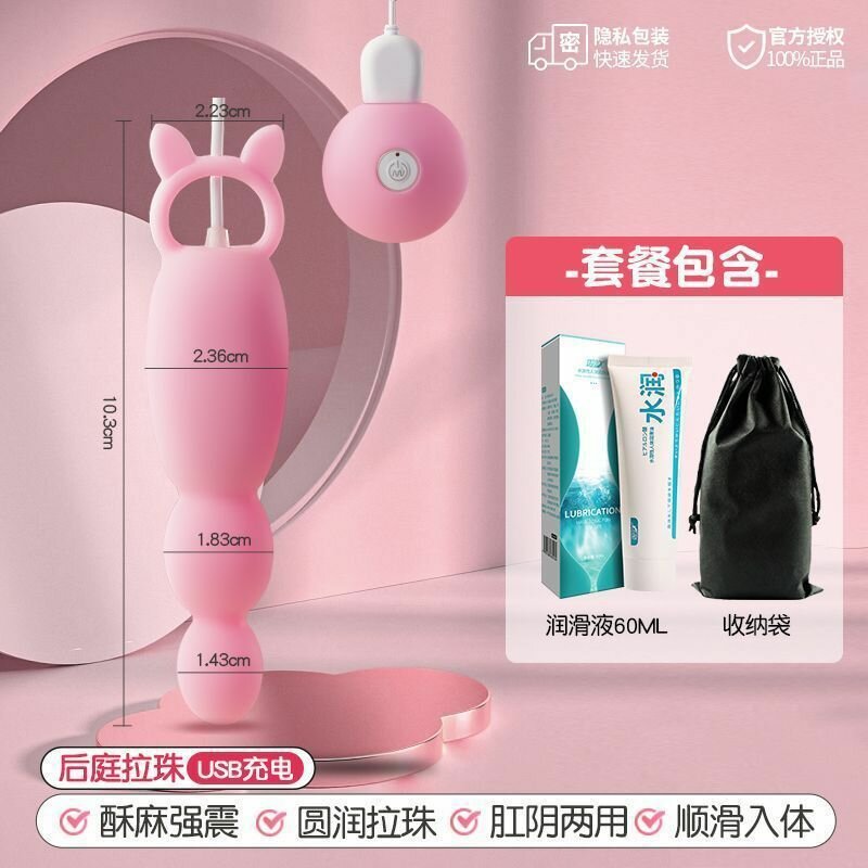 USB-перезаряжаемая анальная игрушка с одиночной вибрацией, лубрикантом и кейсом для хранения