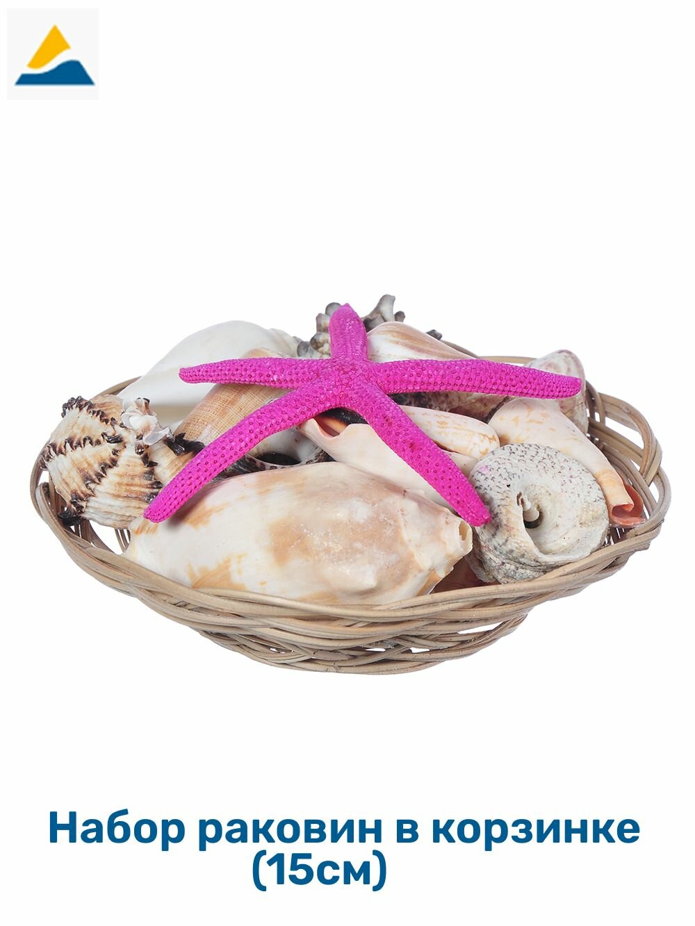 Набор для акваскейпа аква лого "Раковина в корзинке", 15см, 0.42кг
