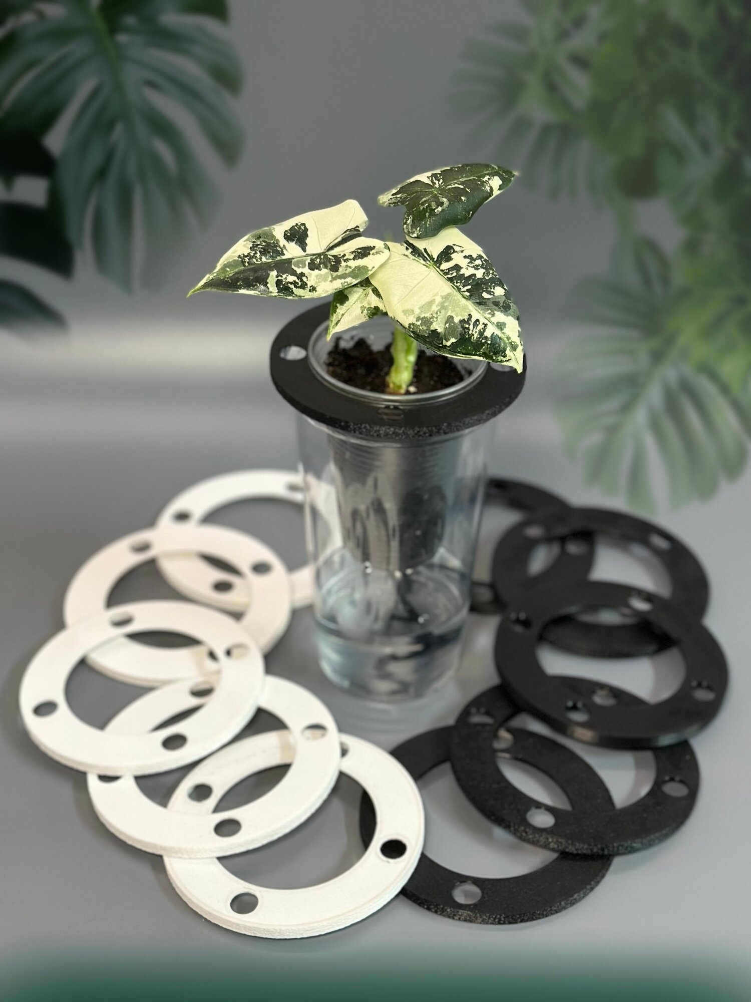 Переходное кольцо, для стаканов, 200 мл и 500 мл, 3D-печать, пластик, 5шт