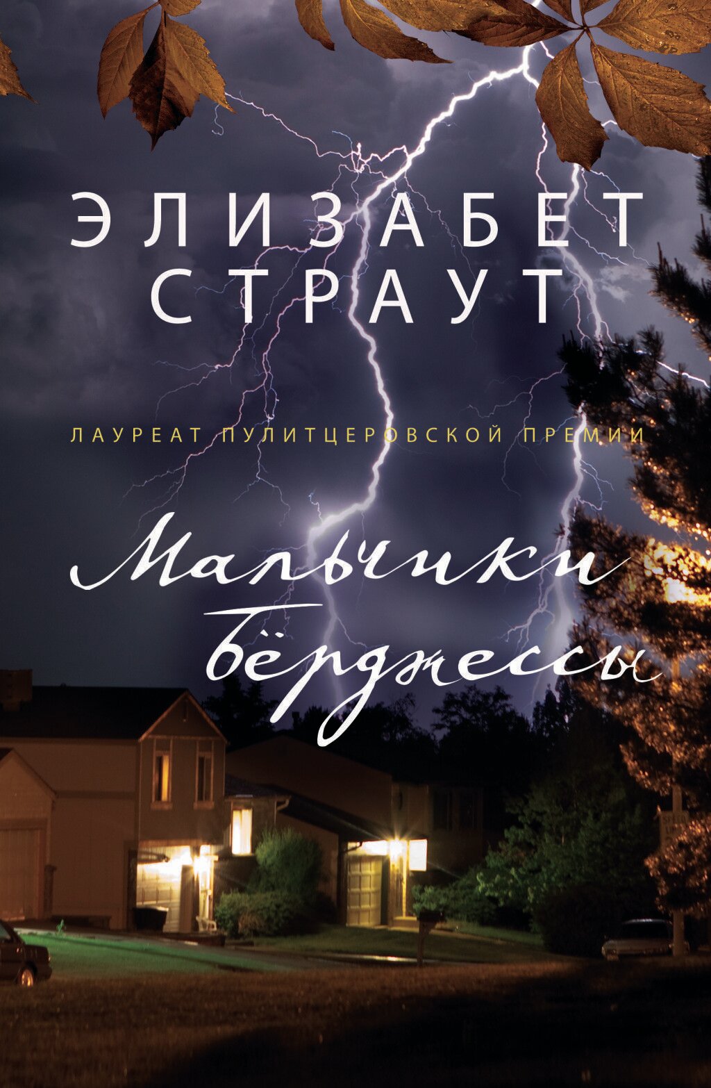 Мальчики Берджессы