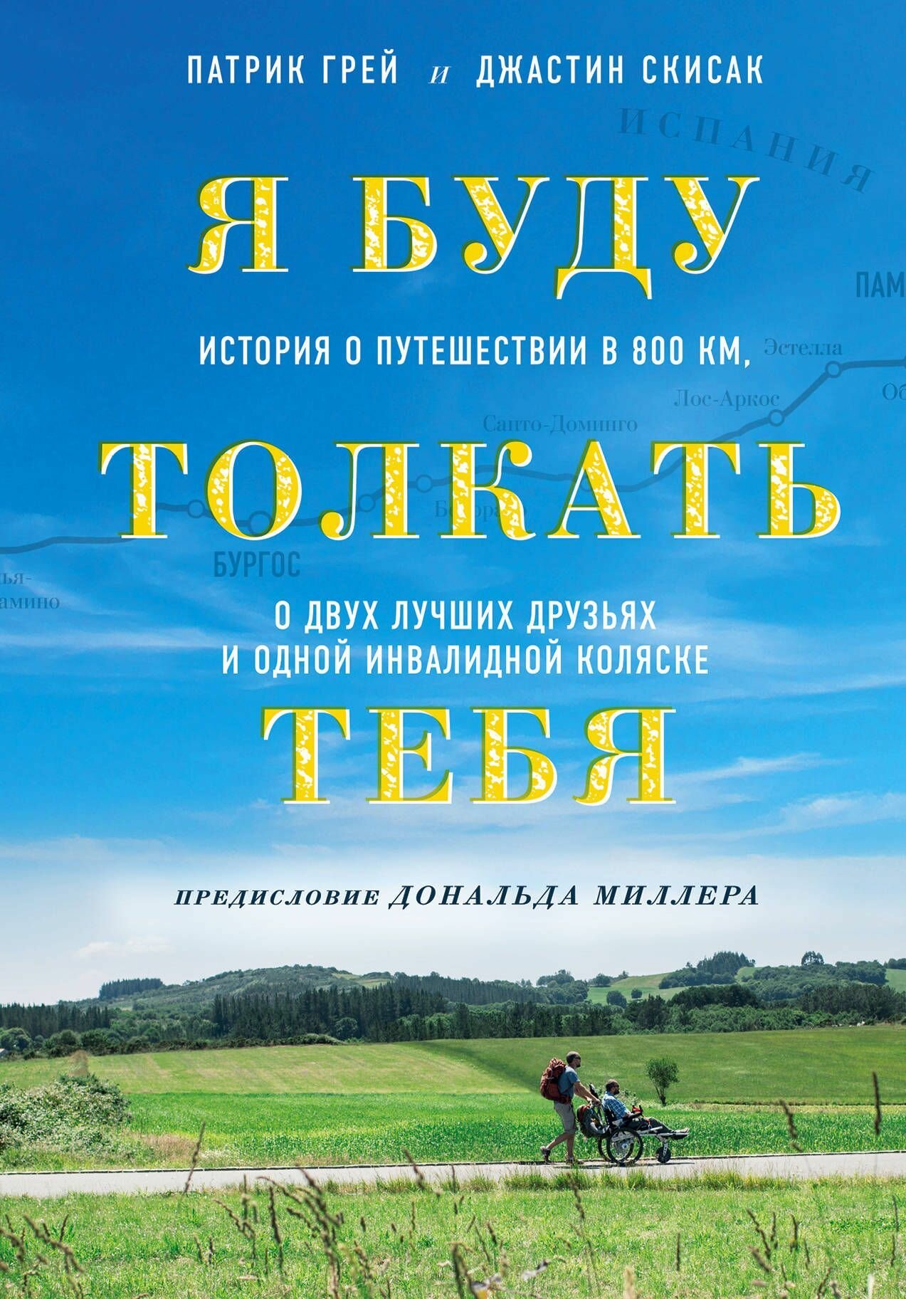 Грей П. Я буду толкать тебя. История о путешествии в 800км.