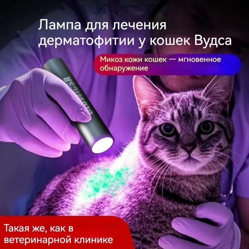 Лампа для диагностики лишая у кошек и собак