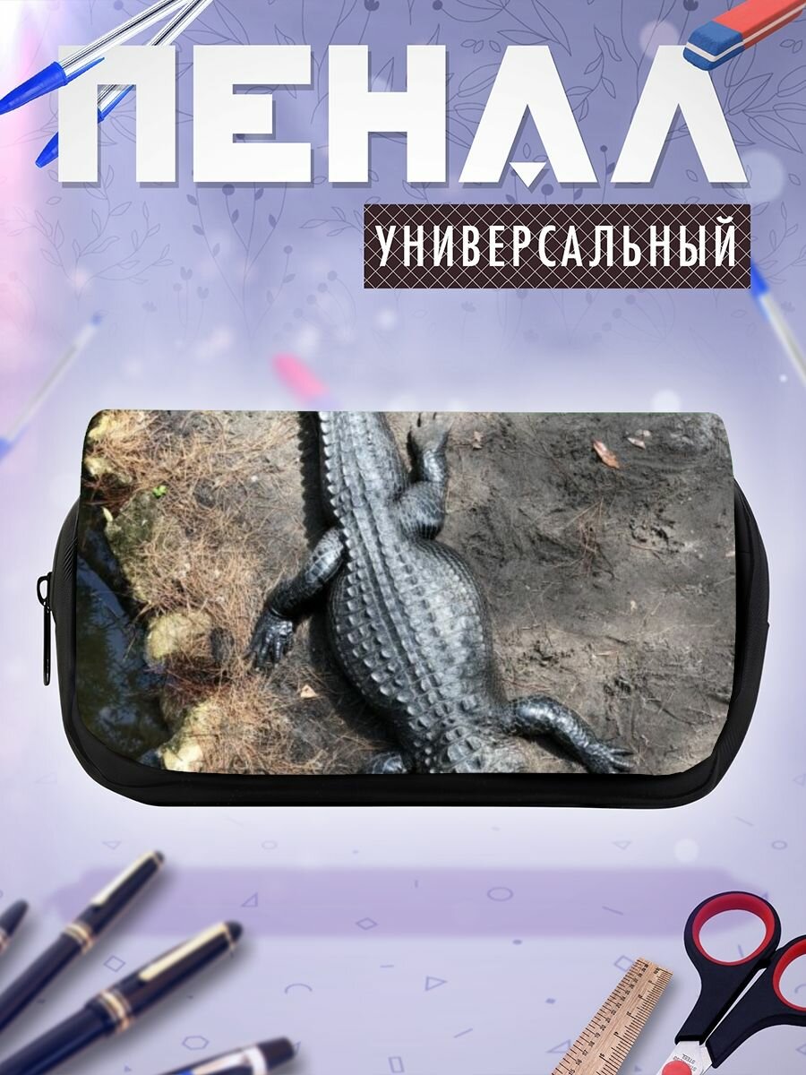 Школьный пенал крокодил американский Аллигатор
