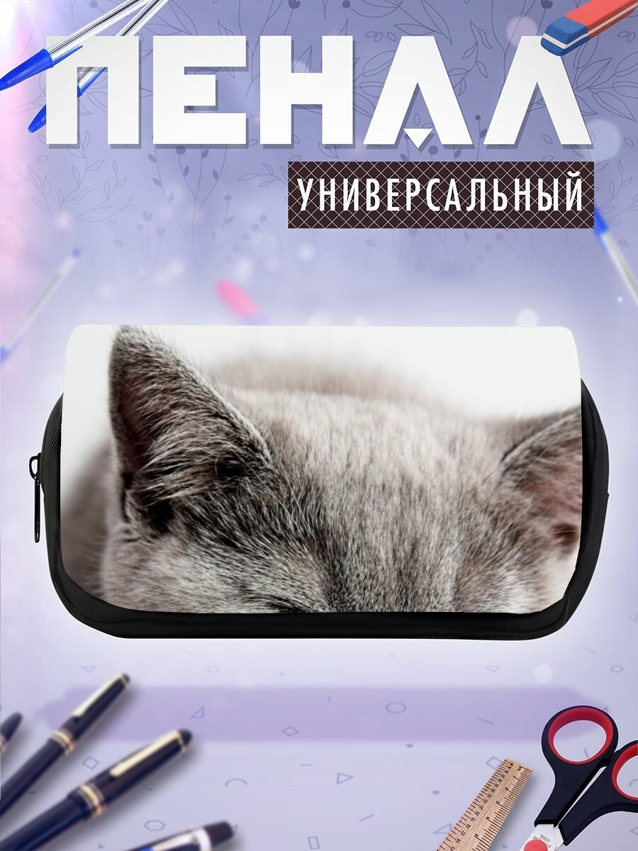 Школьный пенал кот пес