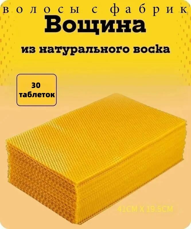 Вощина