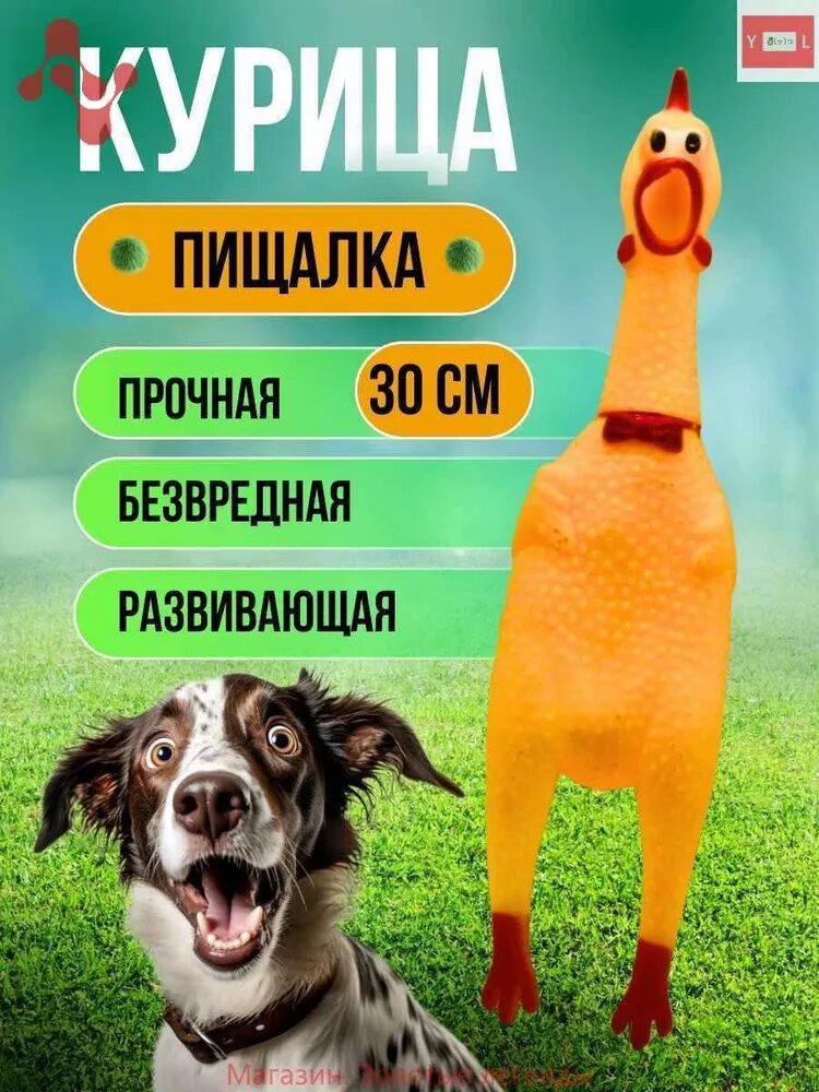 Игрушка для собак и щенков кричащая курица с пищалкой / Развивающая игрушка антистресс для средних пород 30 см