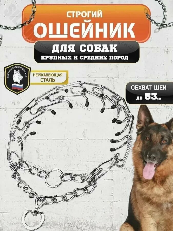Строгий ошейник для крупных собак