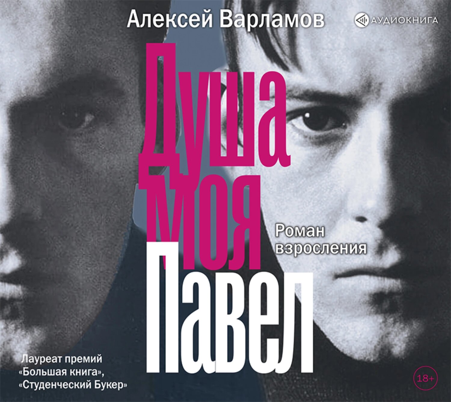 Душа моя Павел [Аудиокнига]