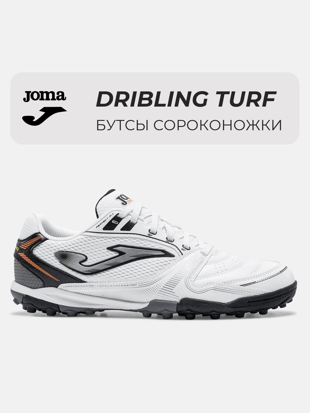 Сороконожки