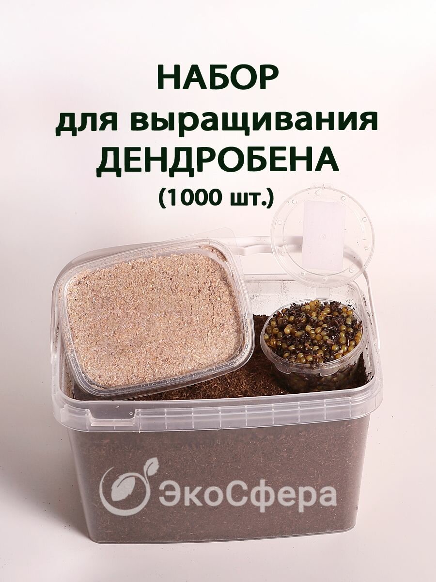 Набор для выращивания Дендрообена
