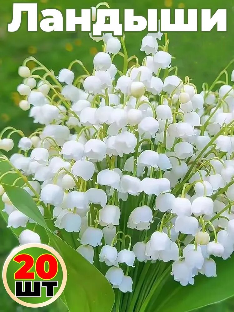 Искусственные цветы,20шт