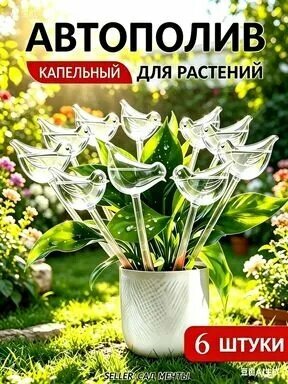 Автополив, 6 шт, цвет прозрачный