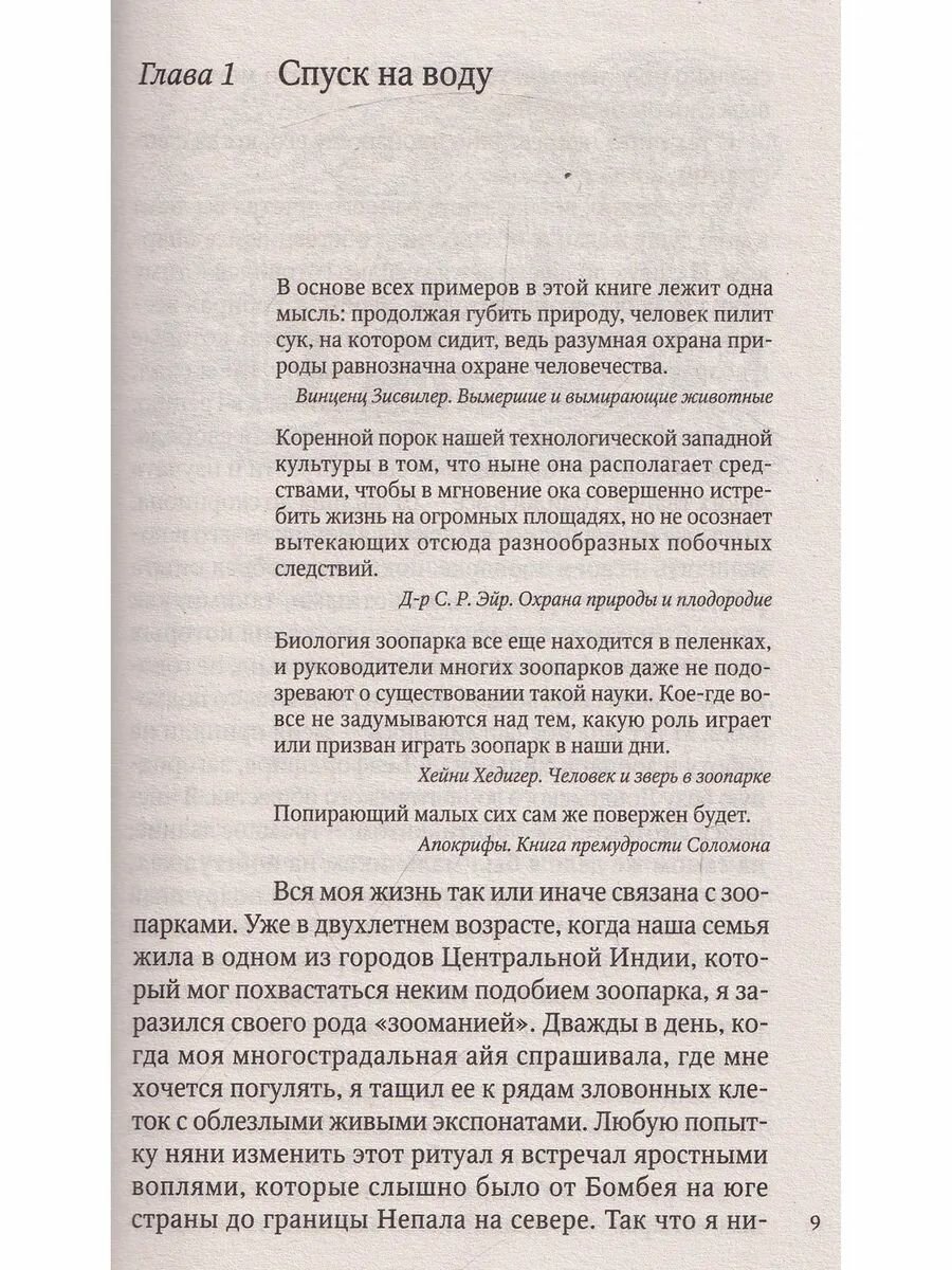 Ковчег на острове — фото 1