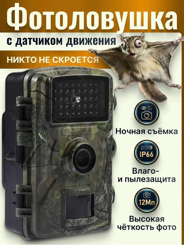 Камерная ловушка