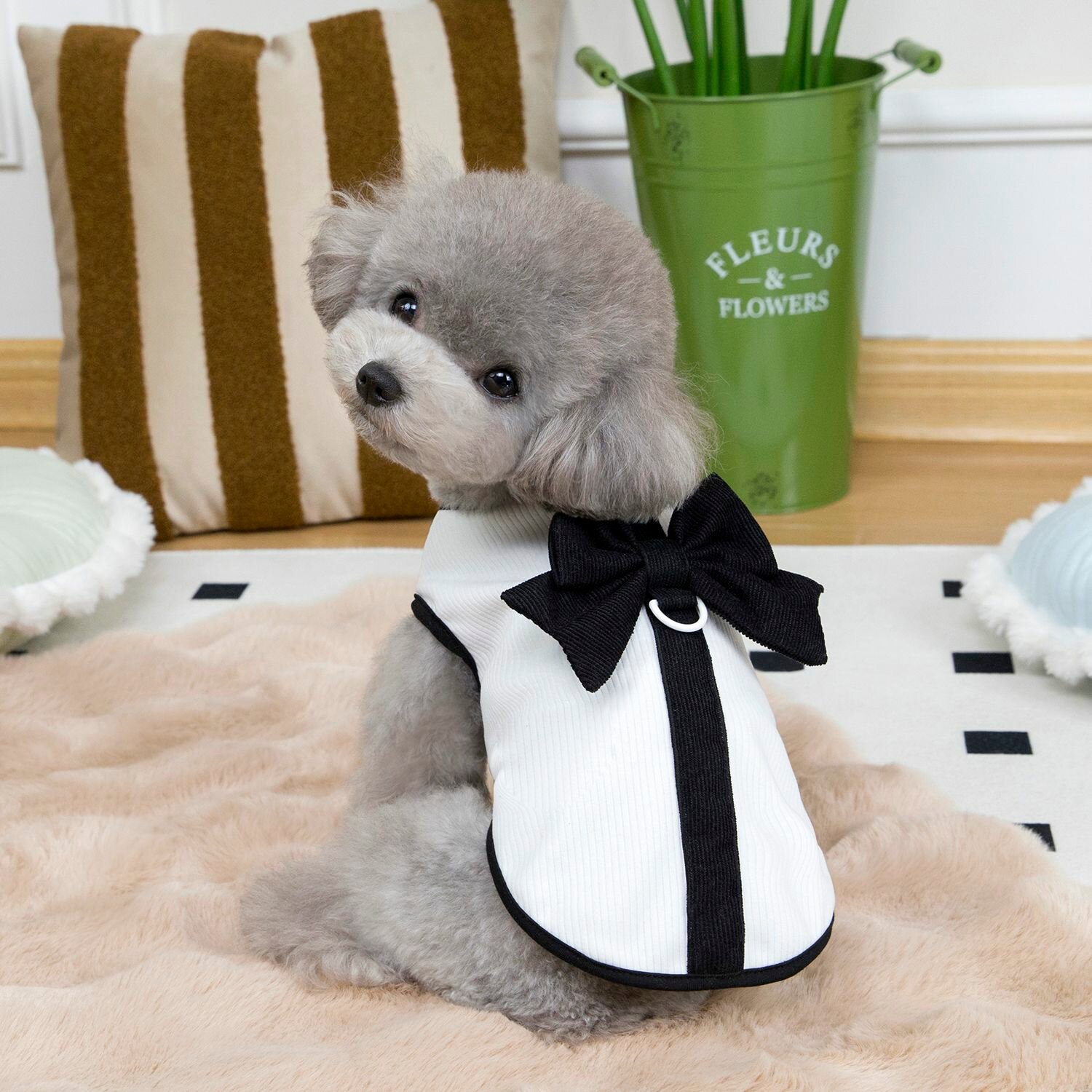 Весенне-летние комплекты для питомцев в стиле собачка для сладких пар, женщина, мужчина