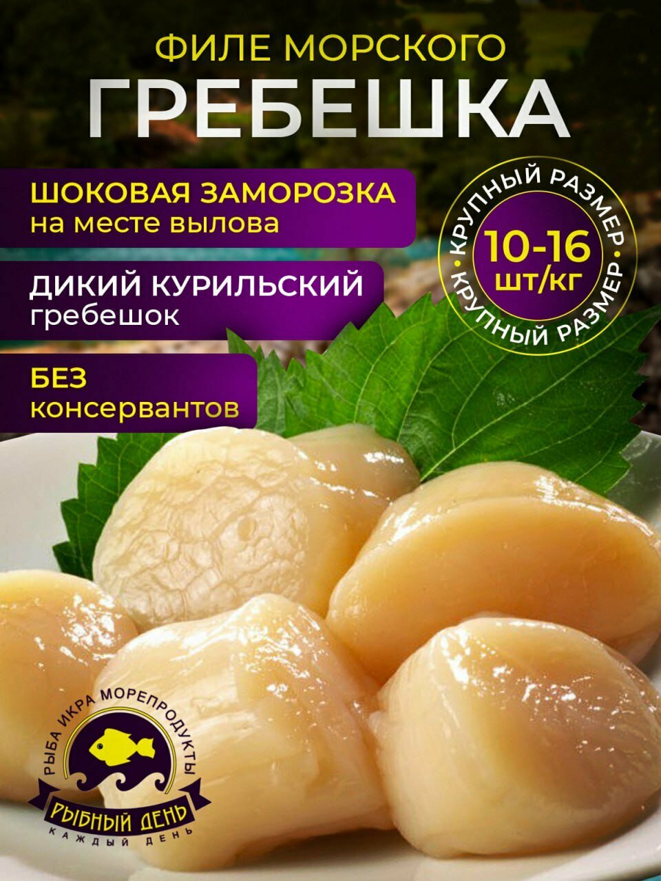 Морской гребешок филе крупный, 10/16 шт/кг