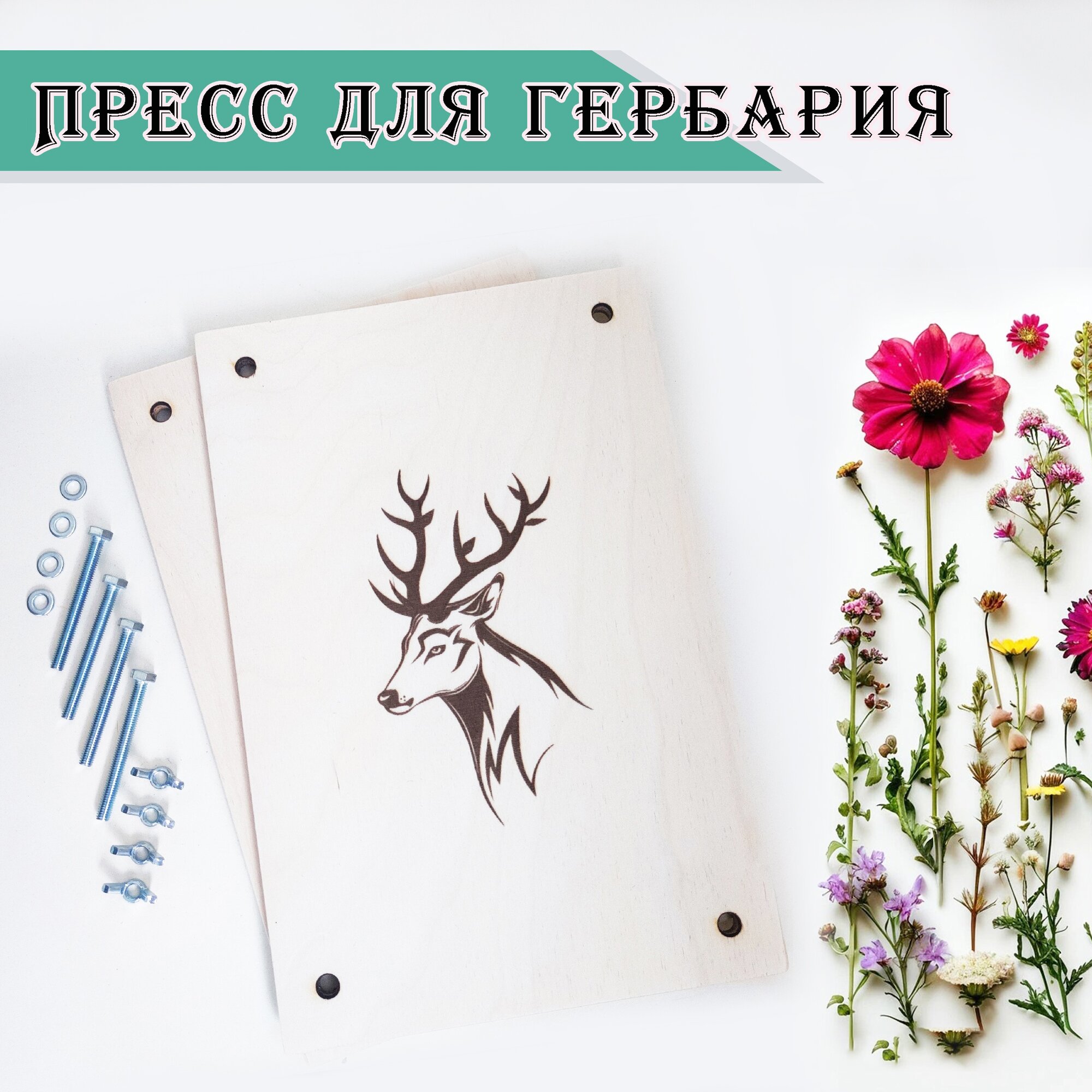 Пресс для гербария А4