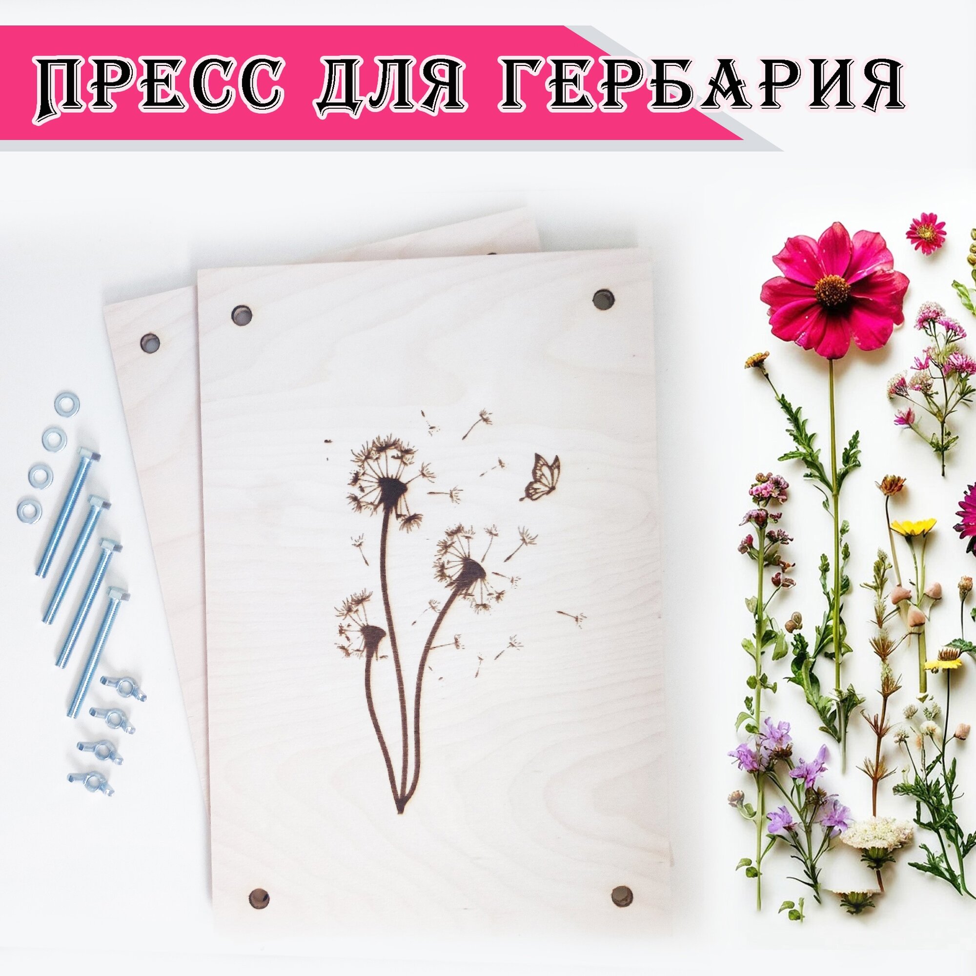 Пресс для гербария А4