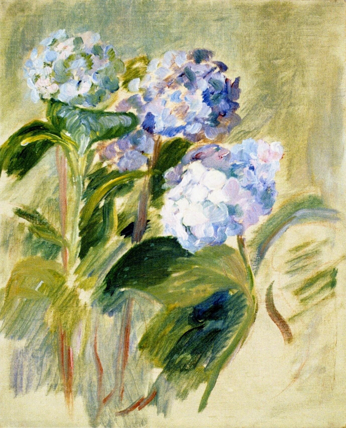 Картина Берты Моризо Ветка гортензии 1894 48х60 см