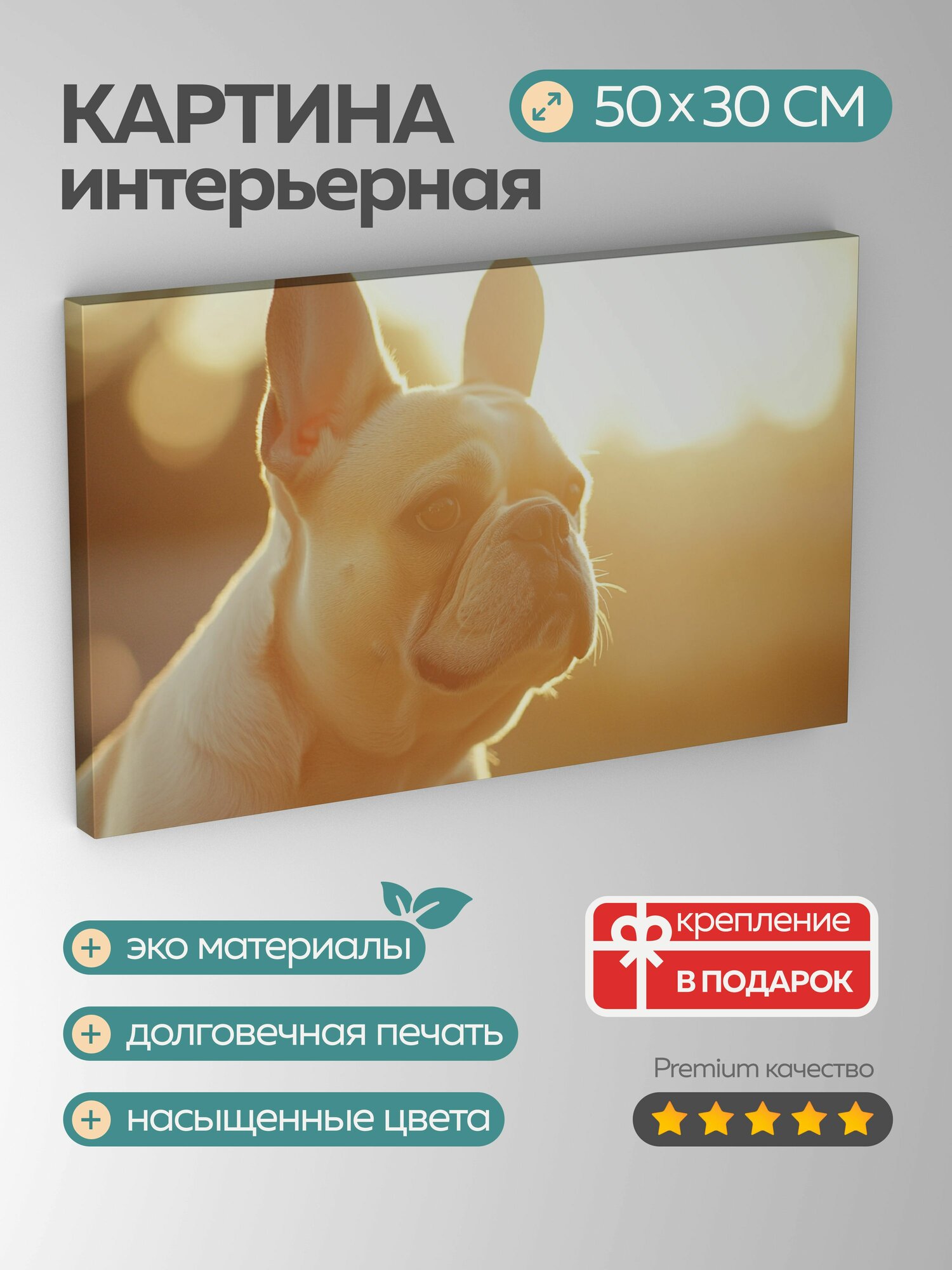 Картина на холсте интерьерная 50х30 см, французский бульдог, откровенный момент, милый нрав, естественное освещение