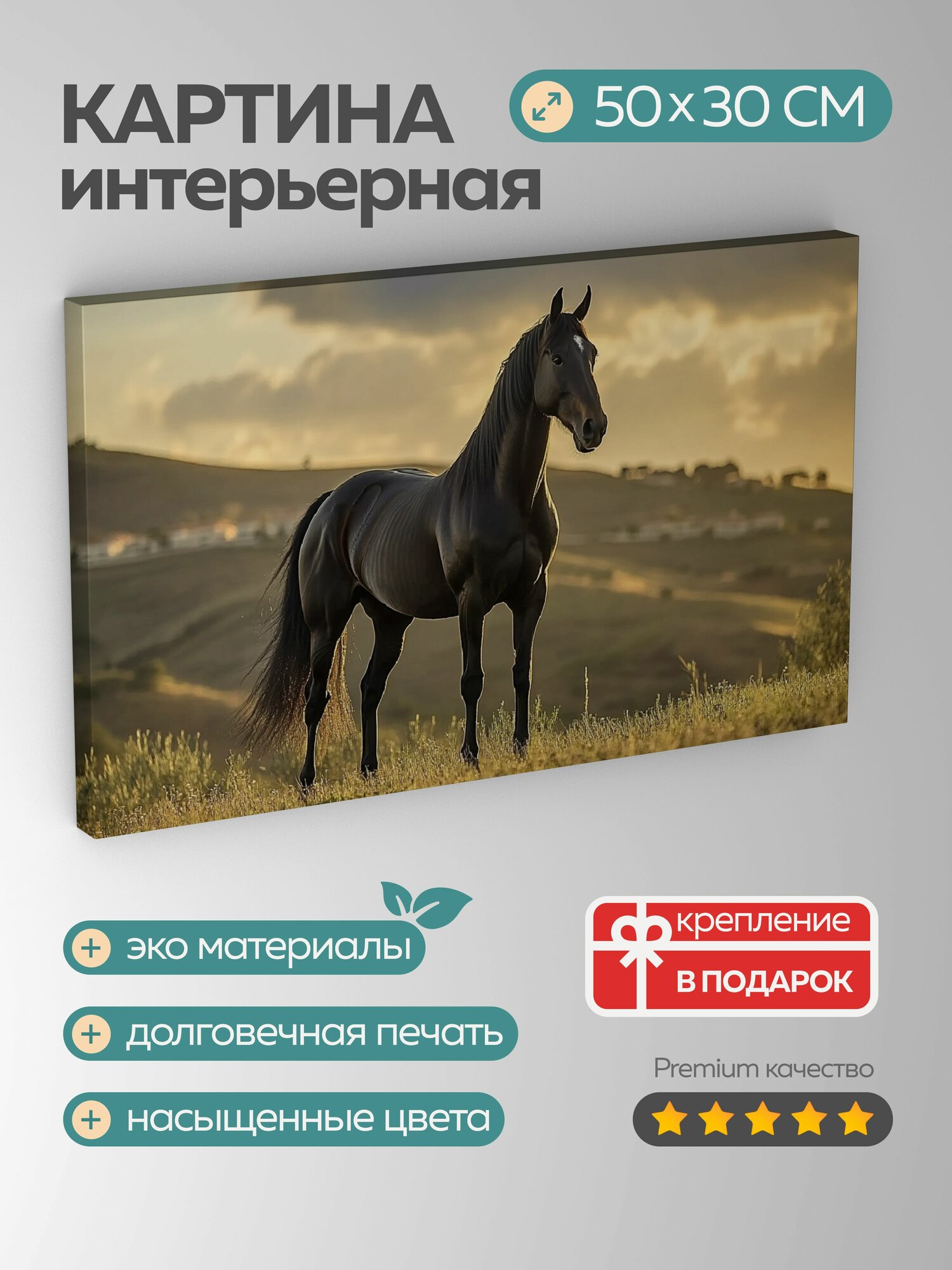 Картина на холсте интерьерная 50х30 см, лошадь, арабская, царственная поза, холмы, небо, облака, грация, красота