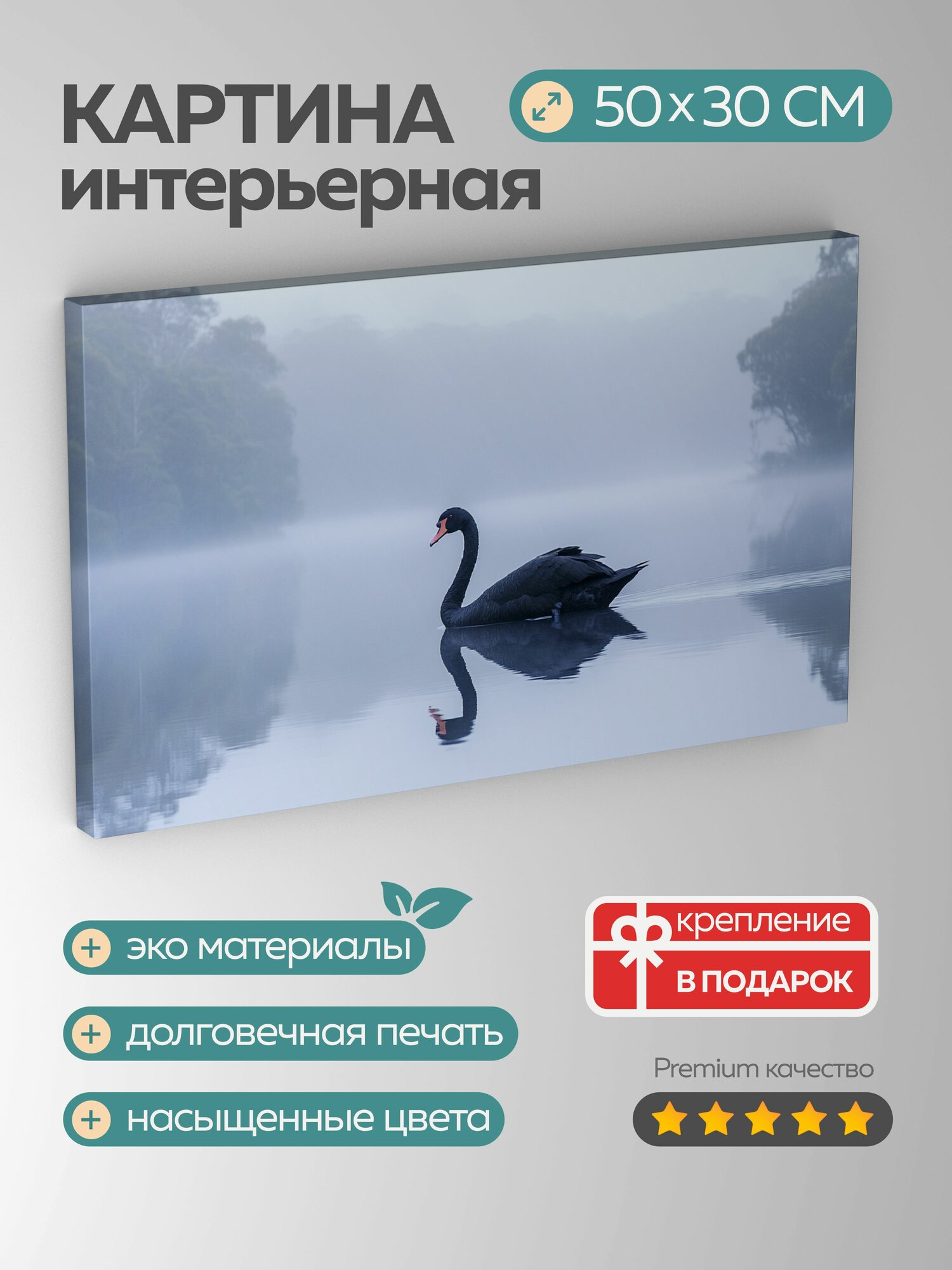 Картина на холсте интерьерная 50х30 см, Черный лебедь, озеро, зеркальная гладь, грация, оперение, контраст, Nikon