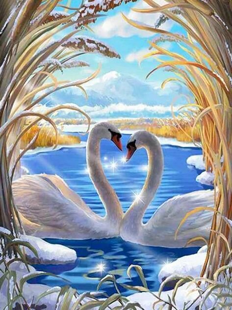 Алмазная картина "Павлин" алмазная огранка 40х50 см,40X50CM, белый