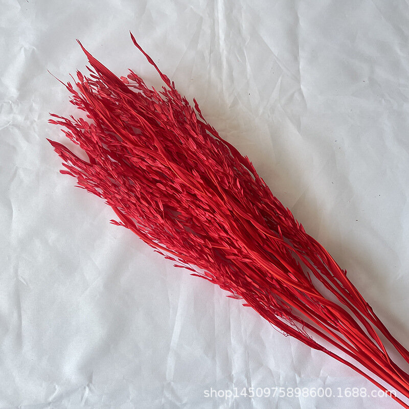 Сушеные рисовые колосья, красные, 10 палочек