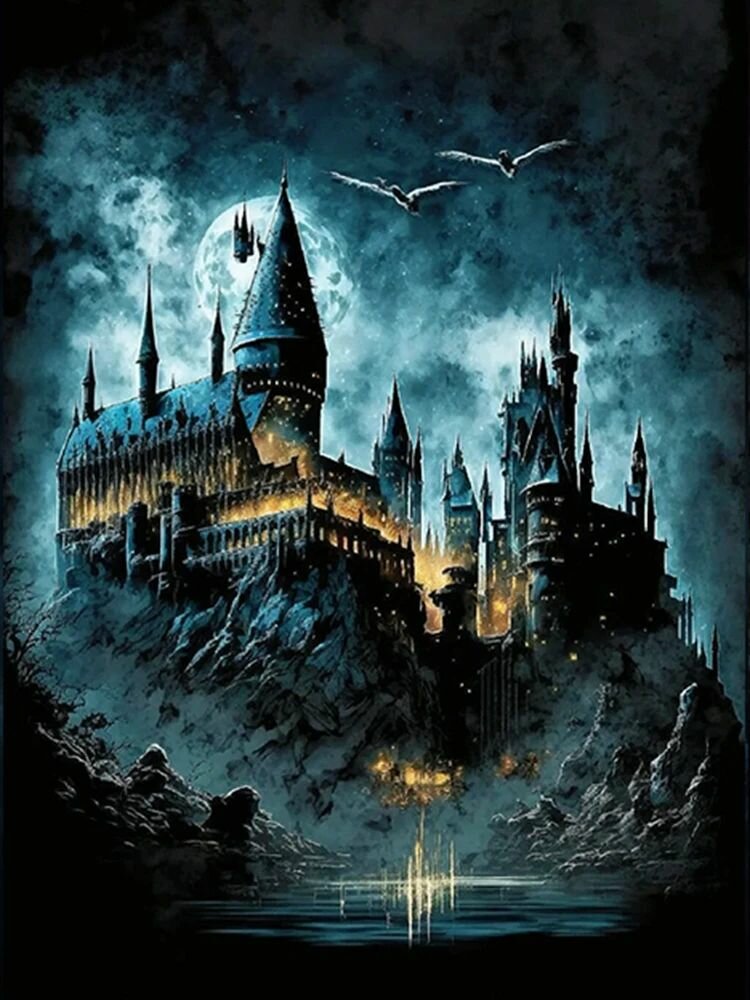 Алмазная картина "Гарри Поттер" алмазная огранка 40х50 см,40X50CM, белый