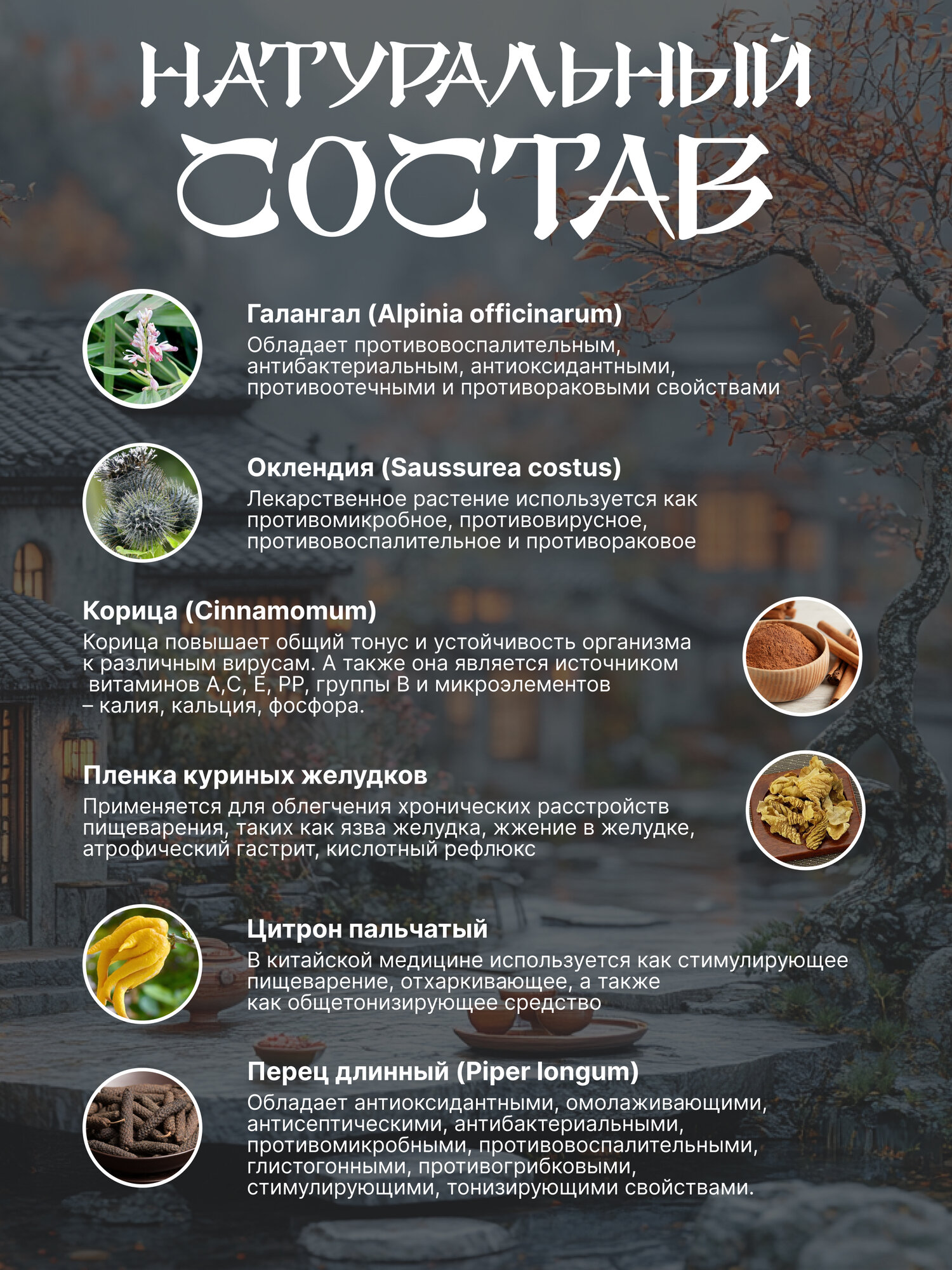 Лекарь желудка - при гастрите, изжоге, метеоризме. — фото 1