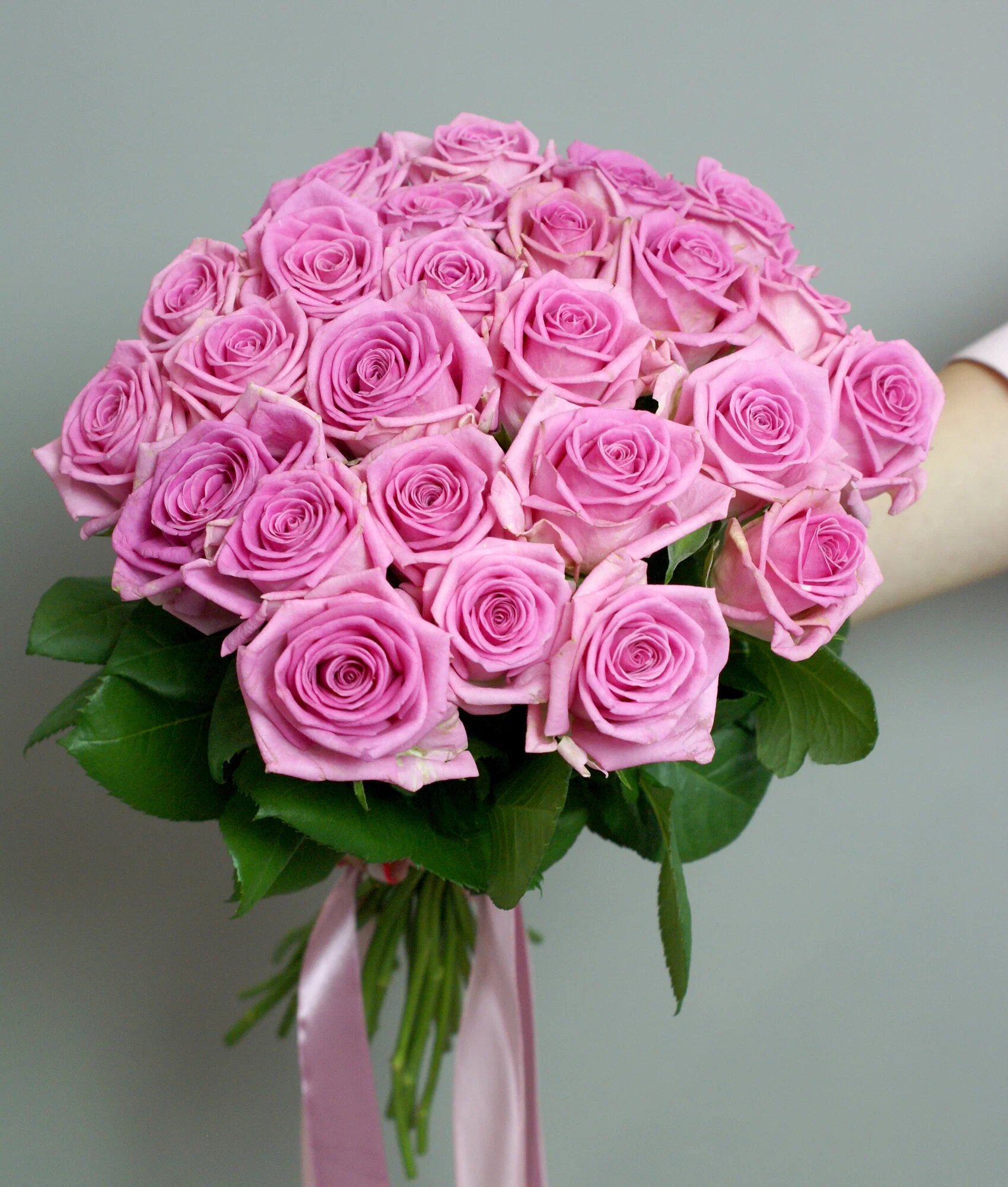 Живые цветы Букет розовых роз 31 шт, 40 см, сорт Аква , розовые розы под ленту
