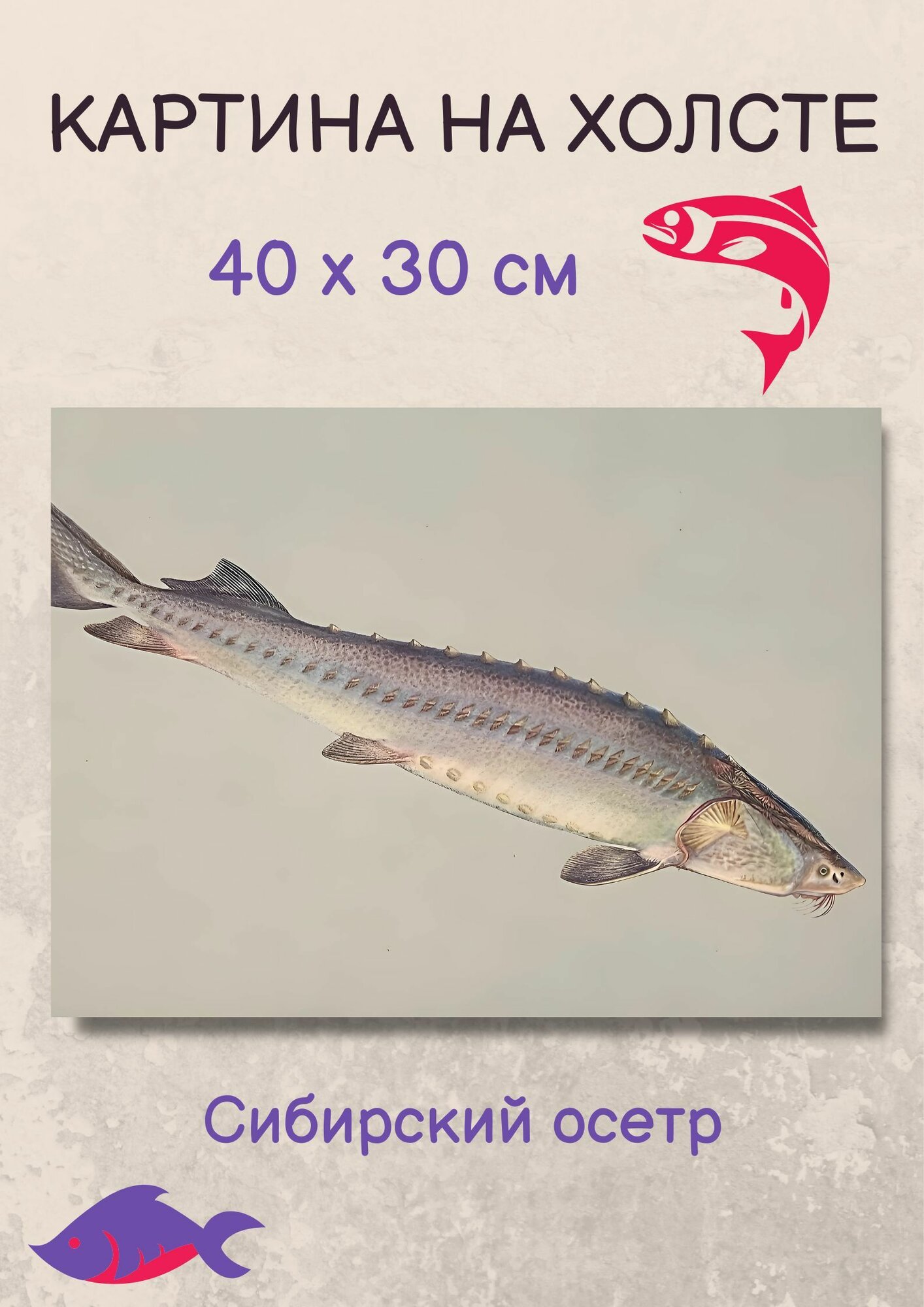 Картина с рыбой из советских каталогов "Серебристый осетр" 40х30