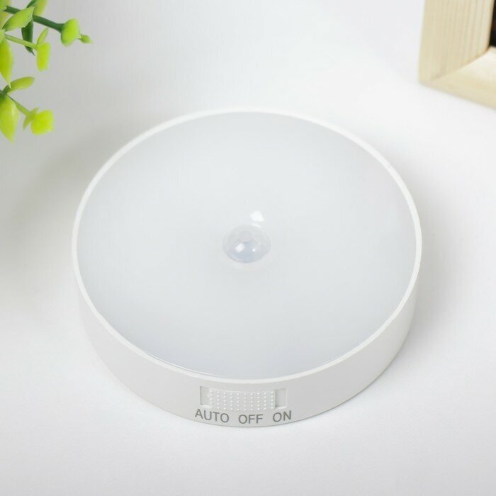RISALUX Ночник на магните с датчиком движения LED 0,6Вт USB белый YZ