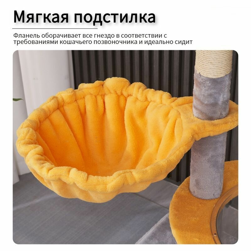 Когтеточка — фото 1