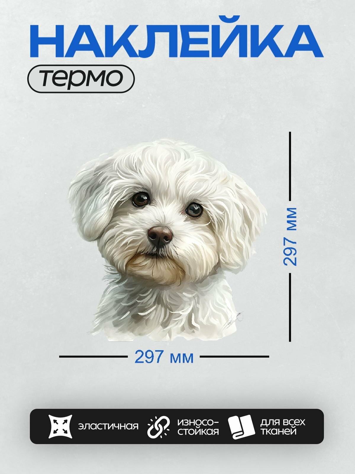 Термонаклейка PrintyFull на одежду DTF / Мальтийская болонка