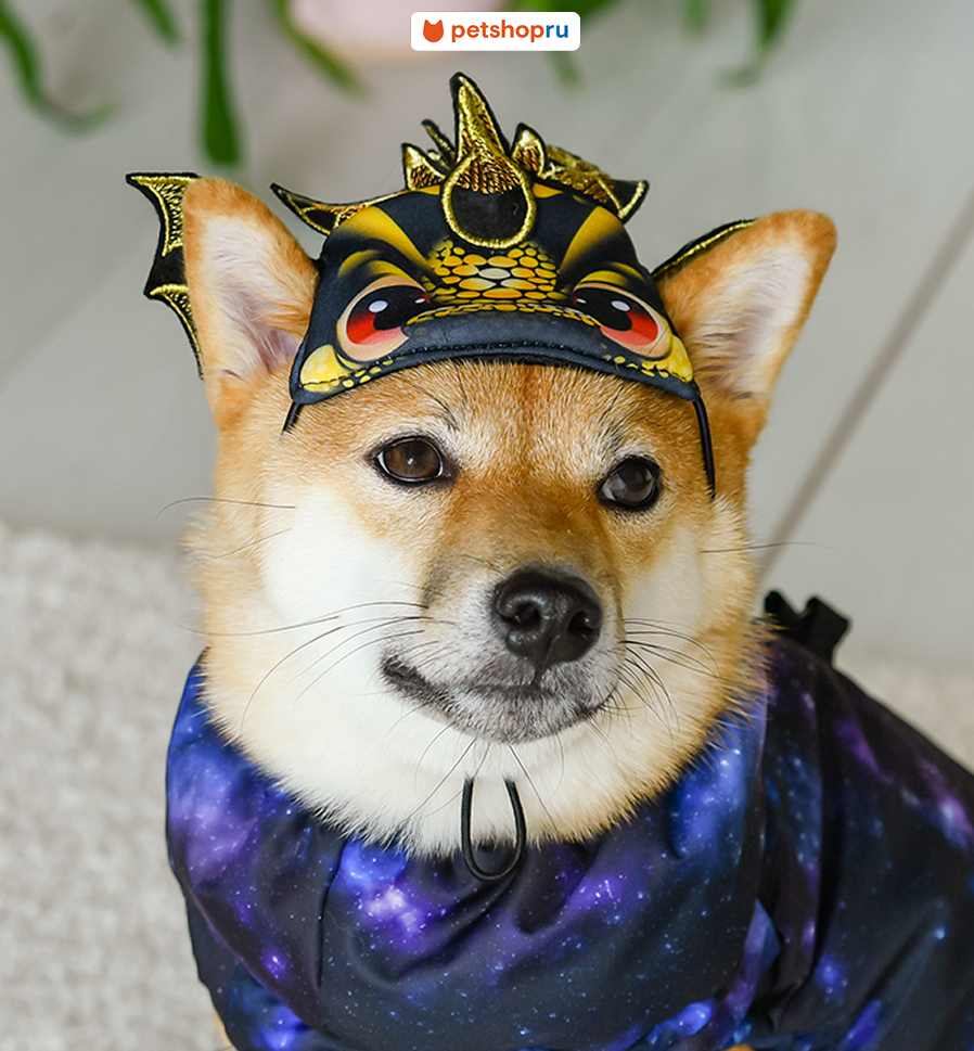 Tappi одежда Шапка для кошек и собак "Огненный Дракон" размер S