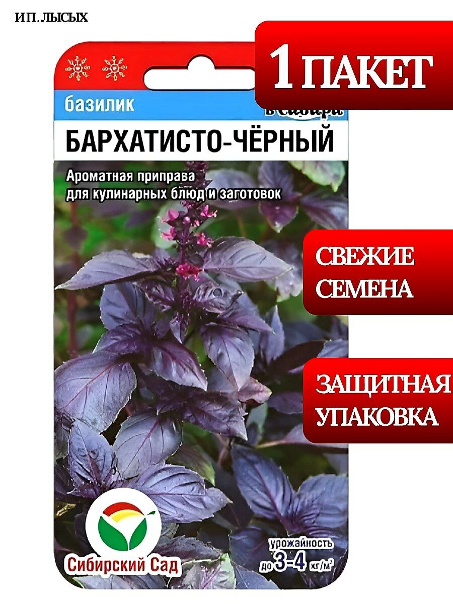 Семена Базилик "Бархатисто-Черный"