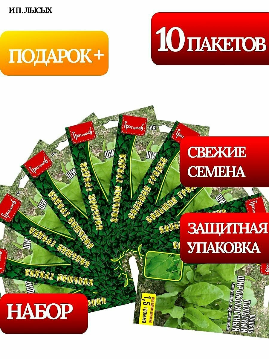 Семена Щавель "Польский Широколистный"