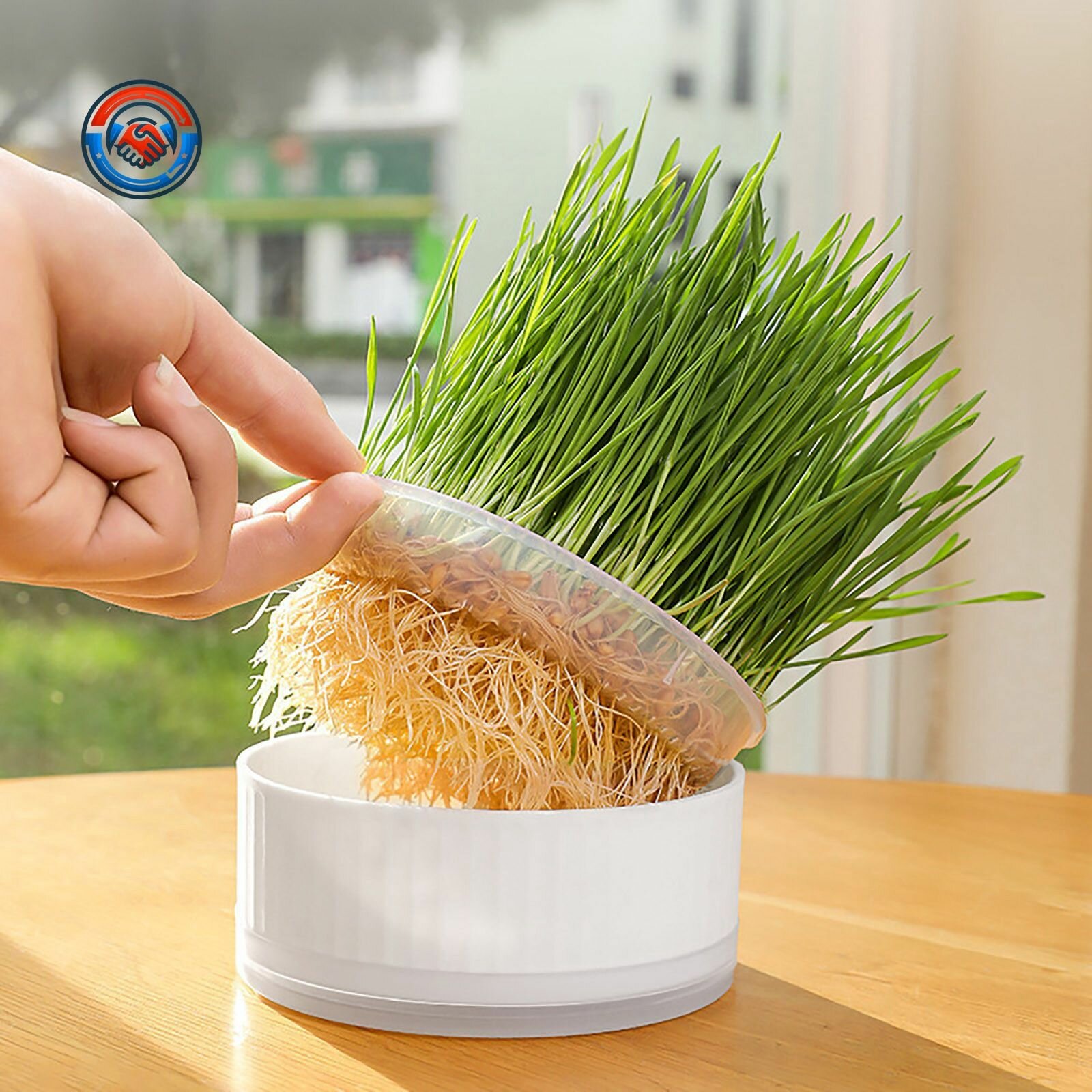 Миска для животных с функцией цветочного горшка, лоток для проращивания кошачьей травы и семян, компактный пластиковый контейнер для дома и балкона, удобная посадка и лёгкая очистка