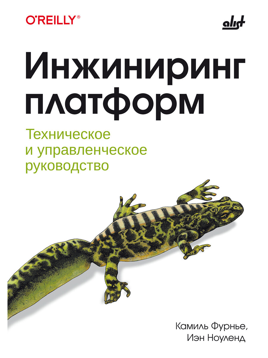 Инжиниринг платформ.