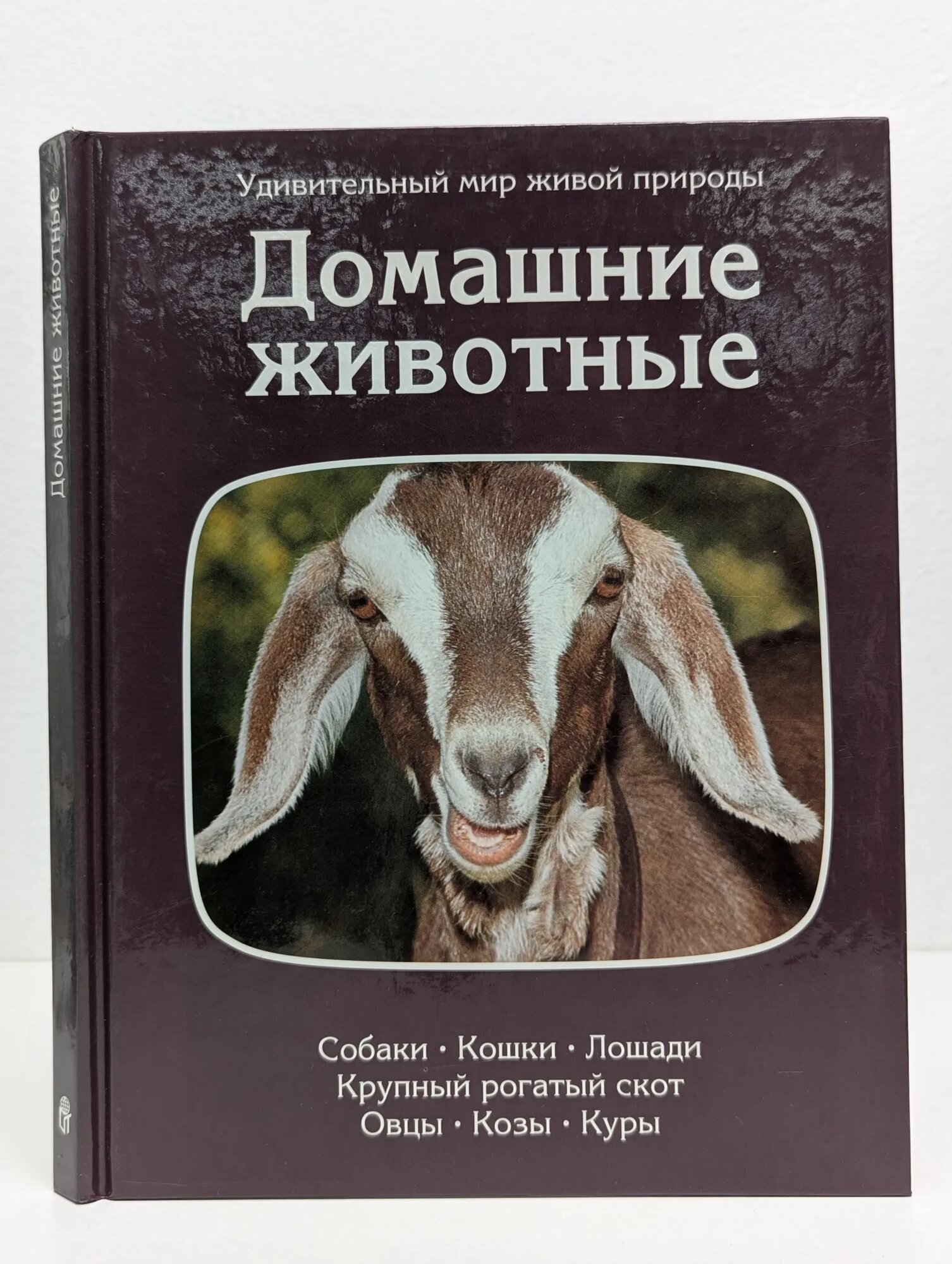 Домашние животные Кутумина Ольга Алексеевна 1997