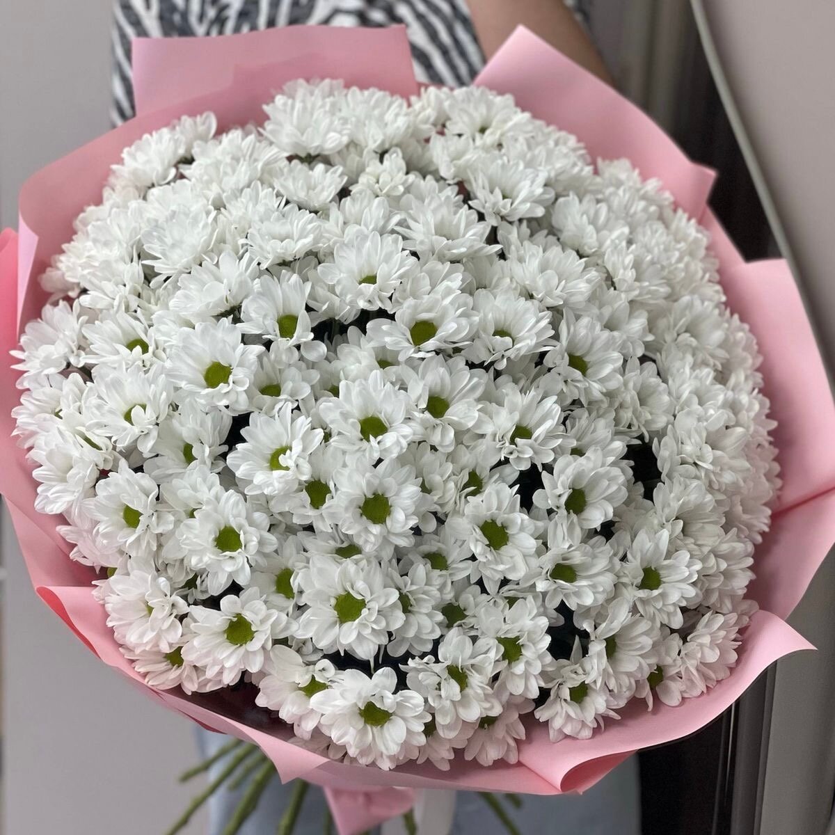 Букет из кустовых ромашковых хризантем 51 шт, красивый букет цветов, шикарный, премиум цветы, премиум букет