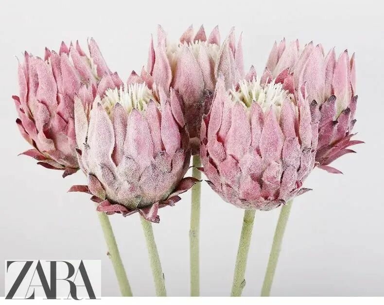 Искусственные цветы,5шт