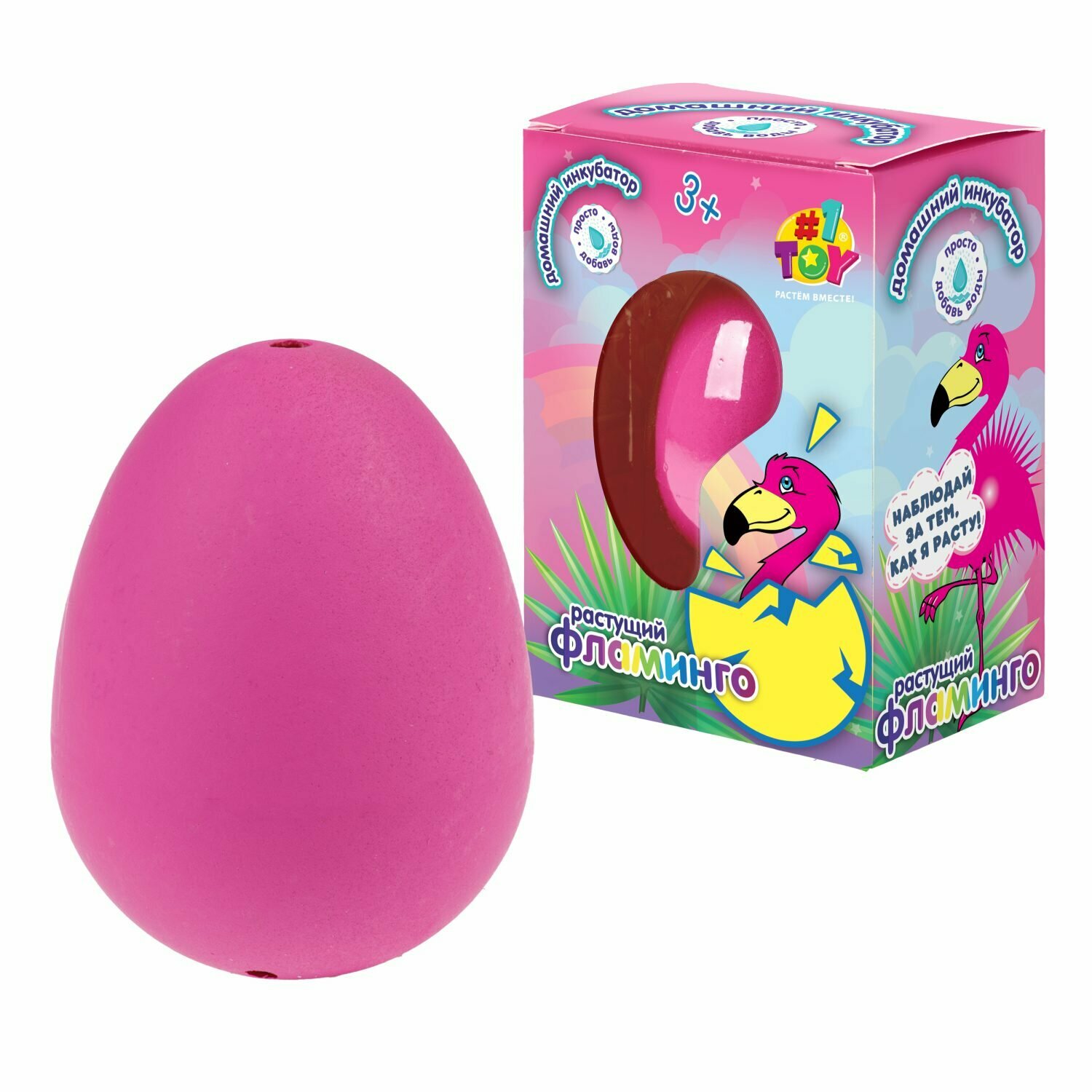 Игрушка 1Toy "Фламинго", домашний инкубатор, для наблюдения процесса появления птицы из яйца