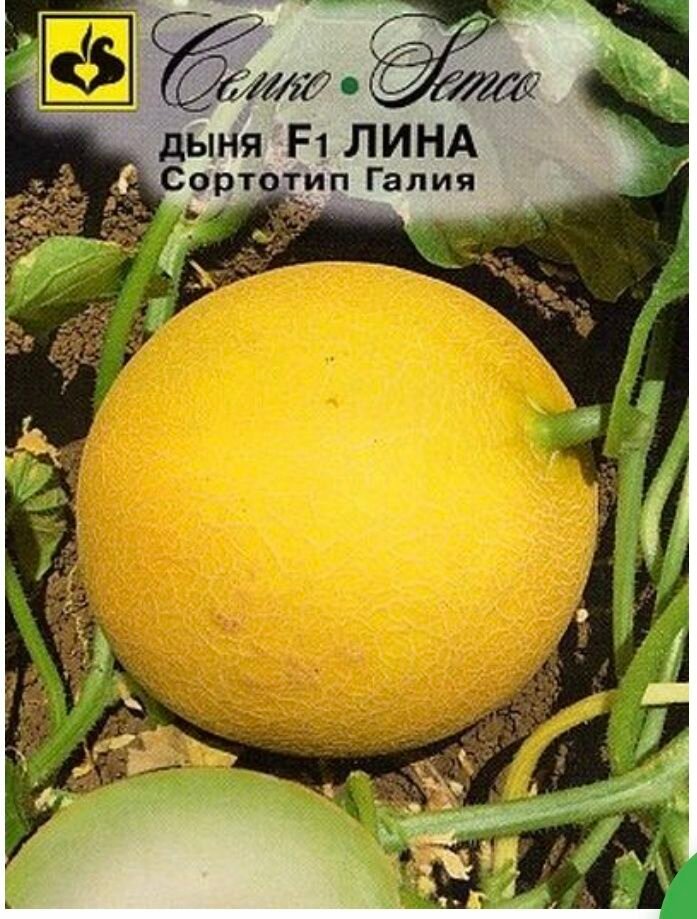 Дыня Лина F1(5семян)