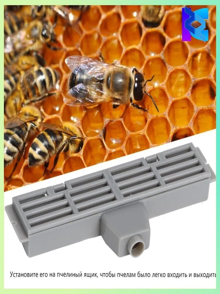 Устройство для защиты пчелиной матки от побега инструмент для пчеловодства 10ШТ