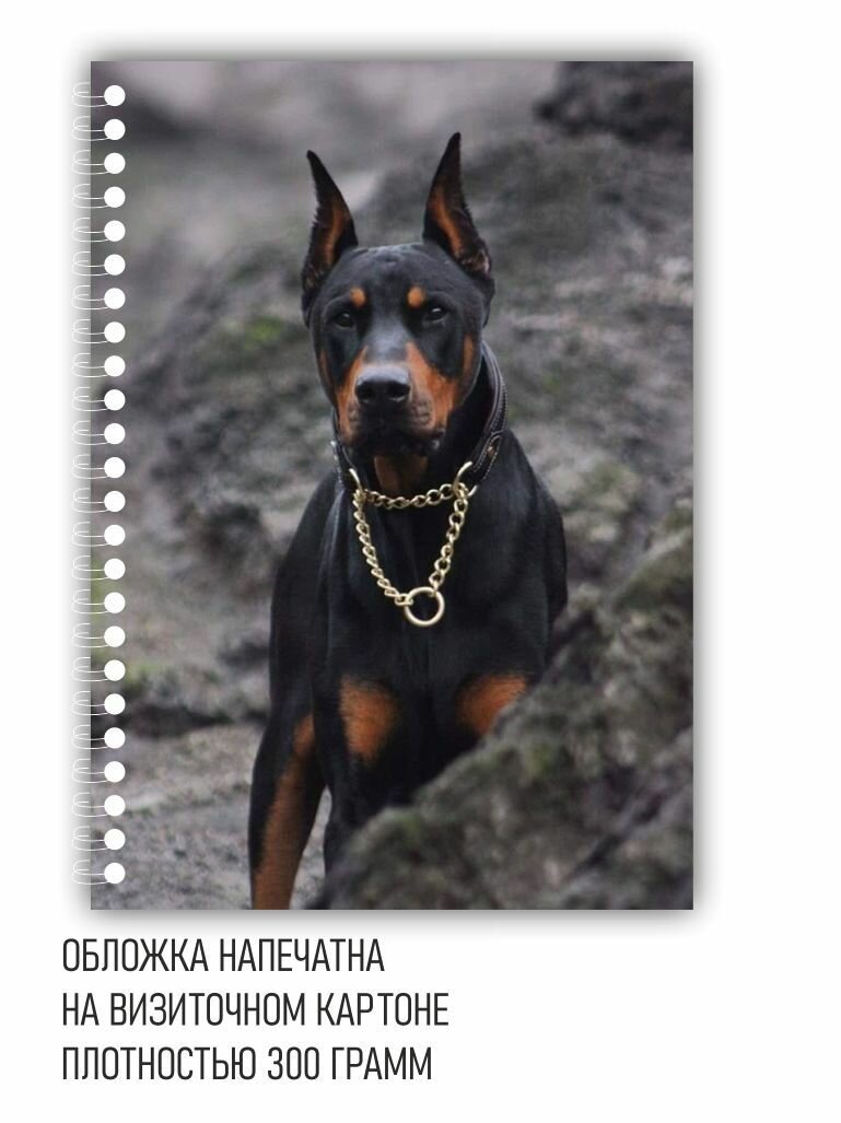 Блокнот Доберман , Doberman, блокнот А5 — фото 1