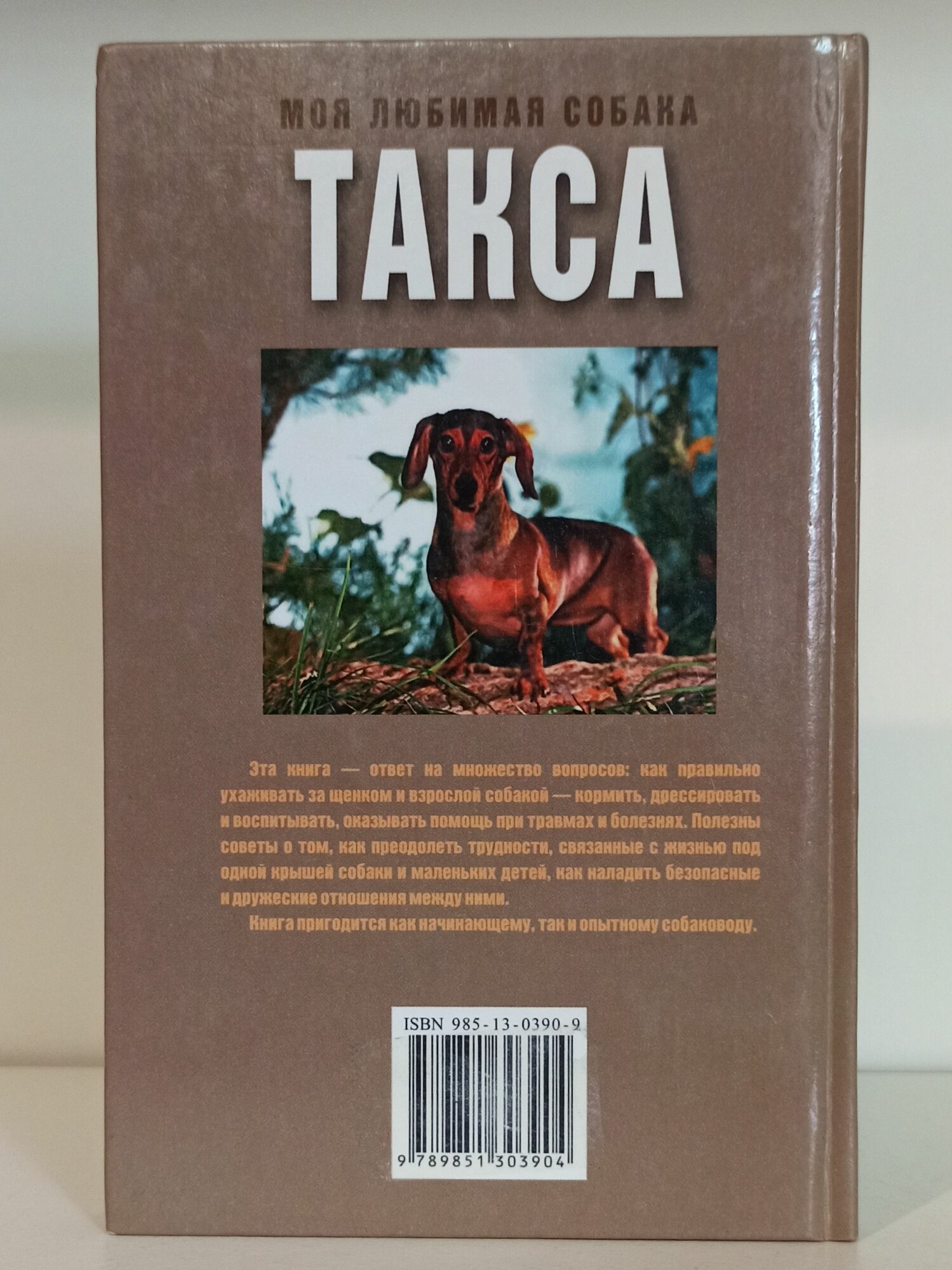 Такса — фото 1